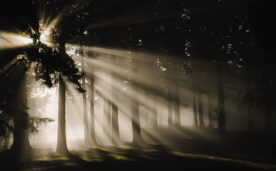 The Glory of the Light - John Hindley