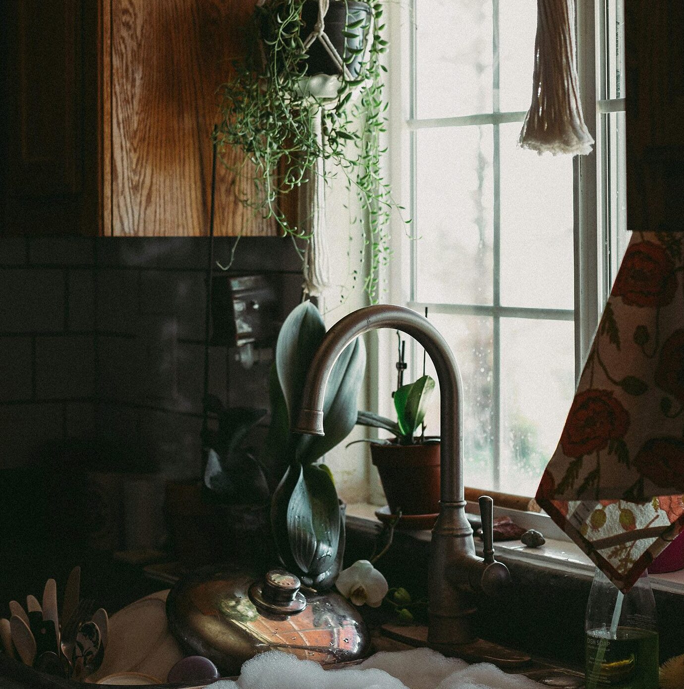 Christ Our Bridegroom - Chance Faulkner